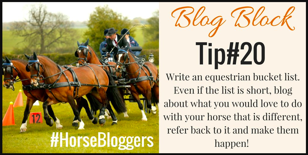 31 Equestrian Blogging Ideas To Keep You Writing - Social Tails